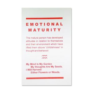 AA Pamphlets at Alcoholics Anonymous Conference Approved Store