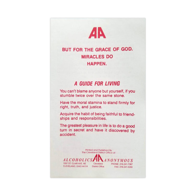 AA Pamphlets at Alcoholics Anonymous Conference Approved Store