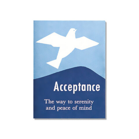 AA Pamphlets at Alcoholics Anonymous Conference Approved Store