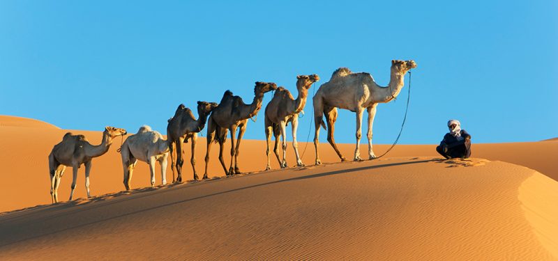 The AA Camel Story - AA History - Alcoholics Anonymous Cleveland