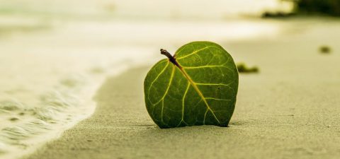 Humility in Recovery and How to Develop It - Alcoholics Anonymous