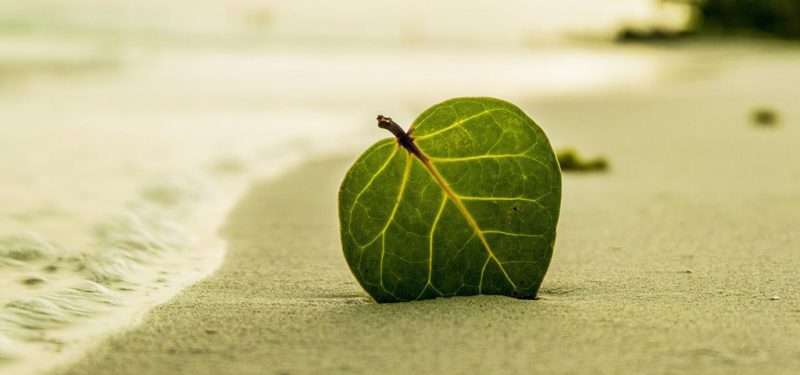 Humility in Recovery and How to Develop It - Alcoholics Anonymous